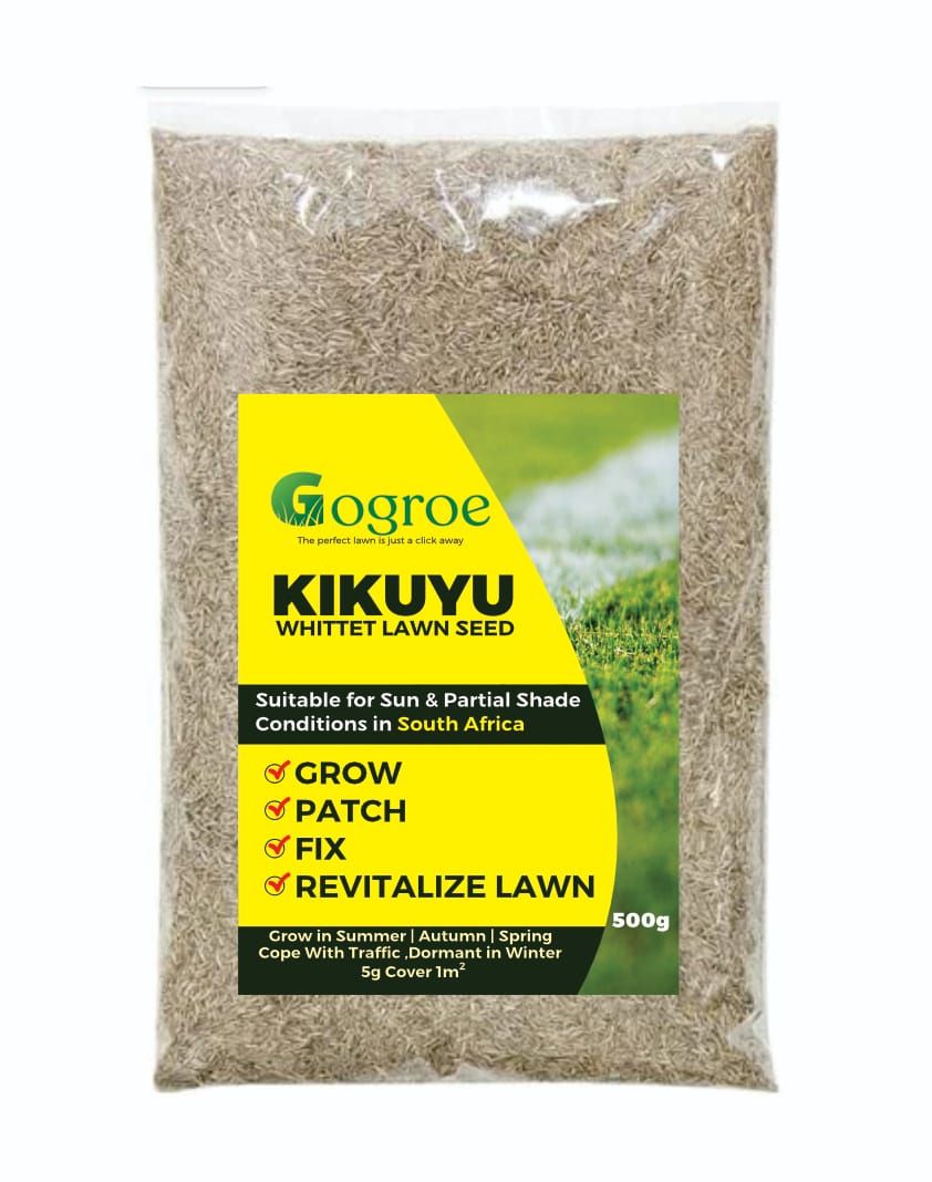 GoGroe Kikuyu Whittet Lawn Grass Seed-500g | Shop Today. Get it ... GoGroe Kikuyu Whittet Lawn Grass Seed-500g | Shop Today. Get it ...