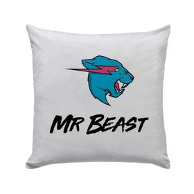 Mr Beast Pillow 30cm x 30cm | Shop Today. Get it Tomorrow! | takealot.com