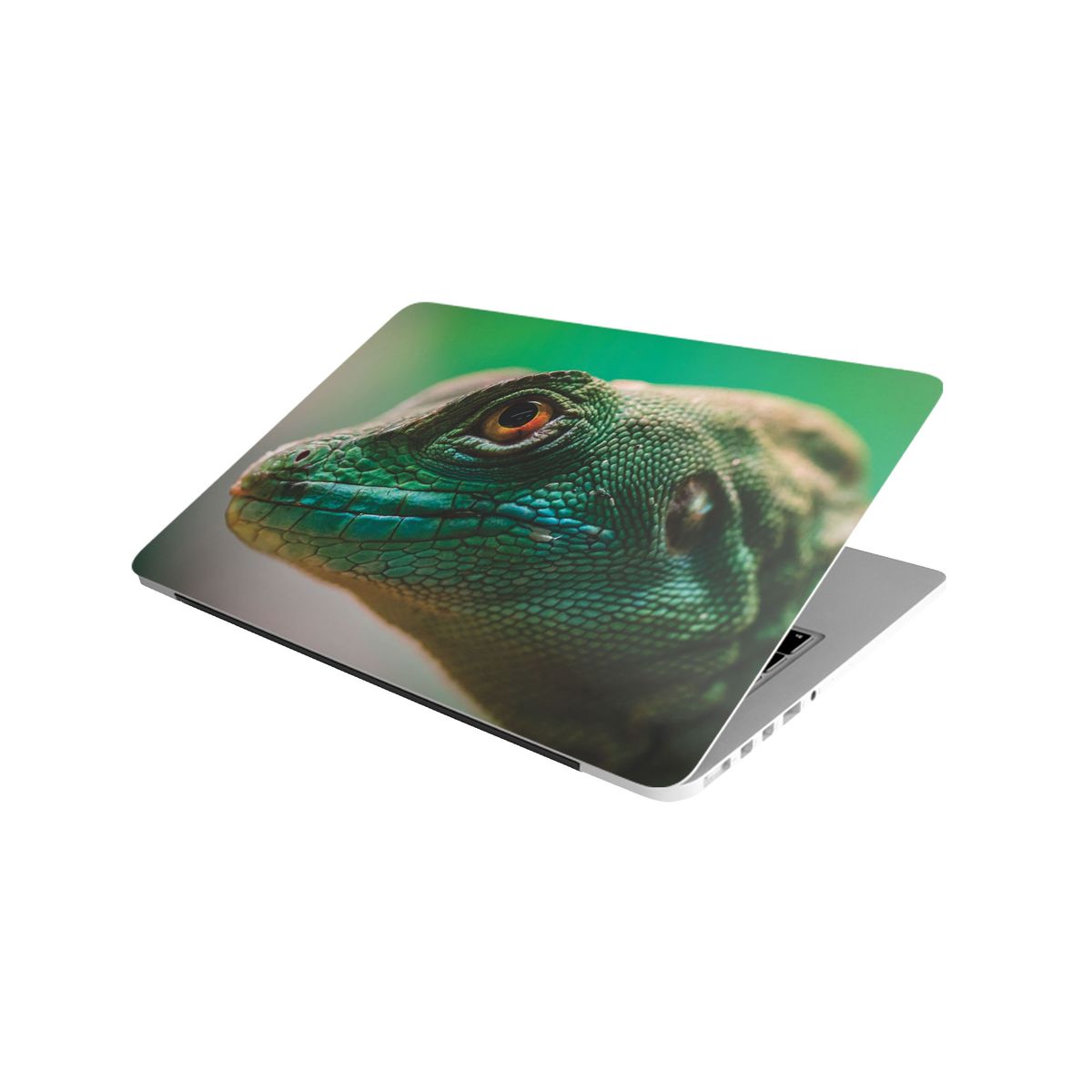 Laptop Skin/Sticker - Green Reptile | Shop Today. Get it Tomorrow ...