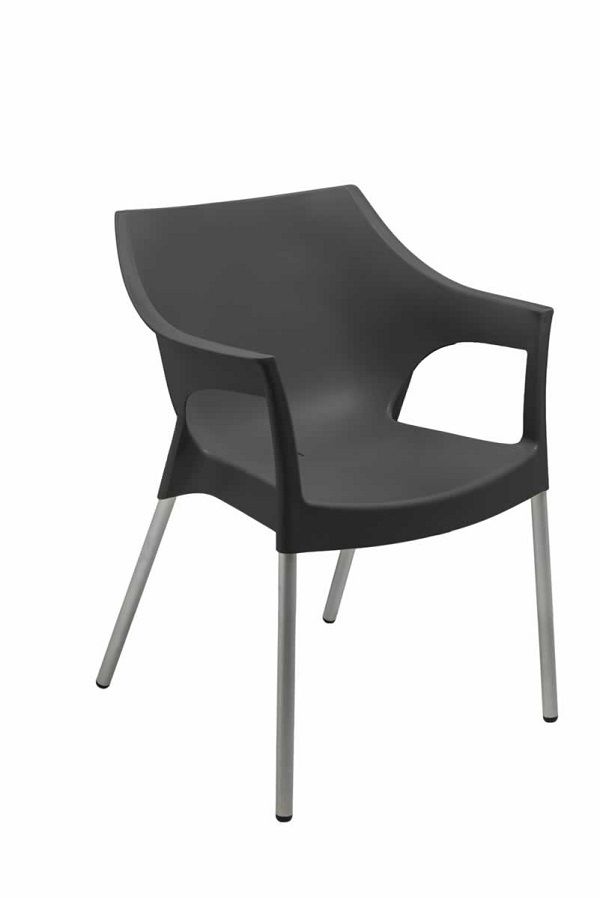 Chelsea Chair | Shop Today. Get it Tomorrow! | takealot.com
