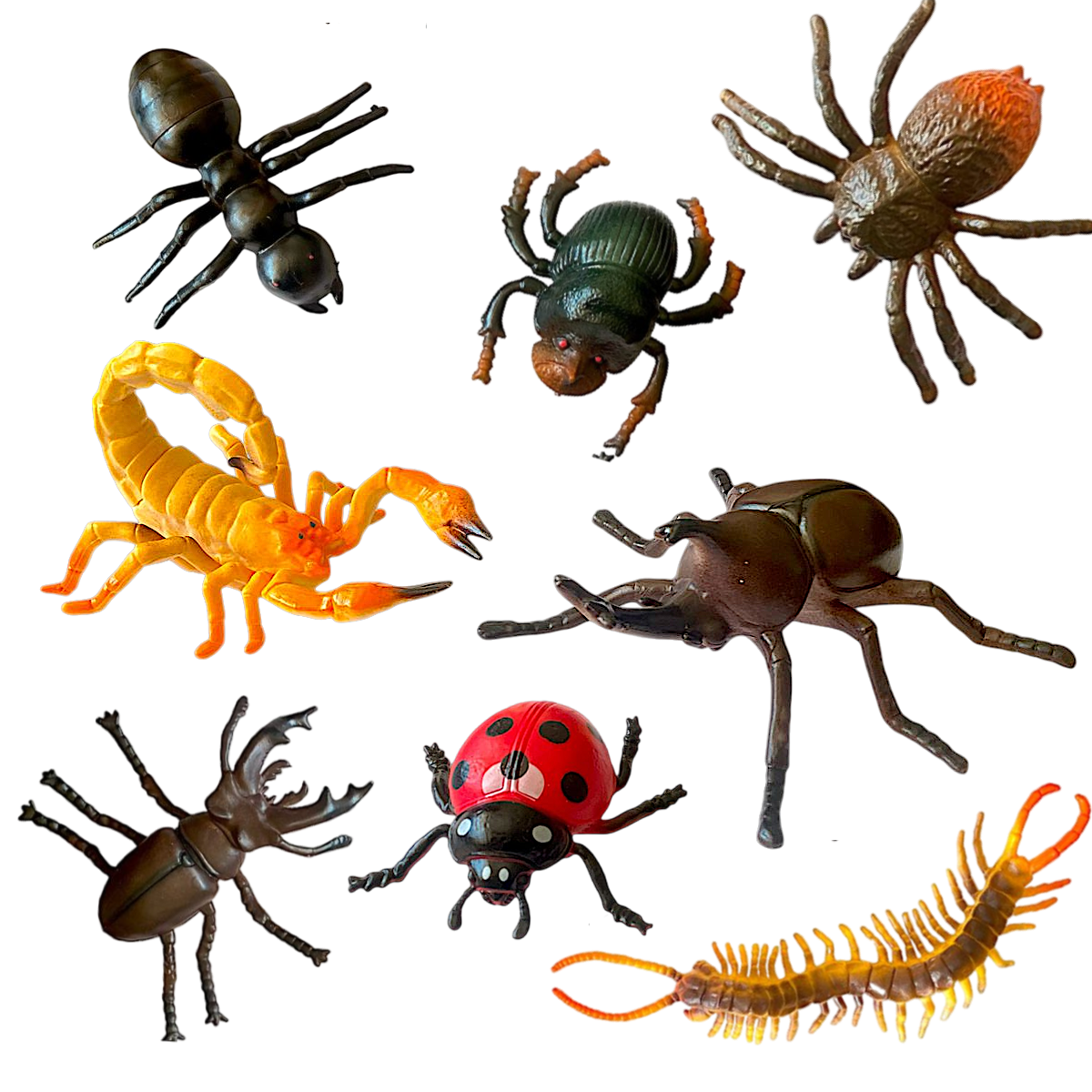 From Ants to Scorpions: Discover the Thrills of Our Insect Toy Kingdom ...