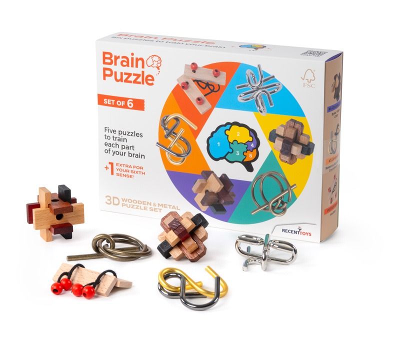 Brain Puzzle Set of 6 - Brainteasers - Riddles - Recent Toys | Shop ...