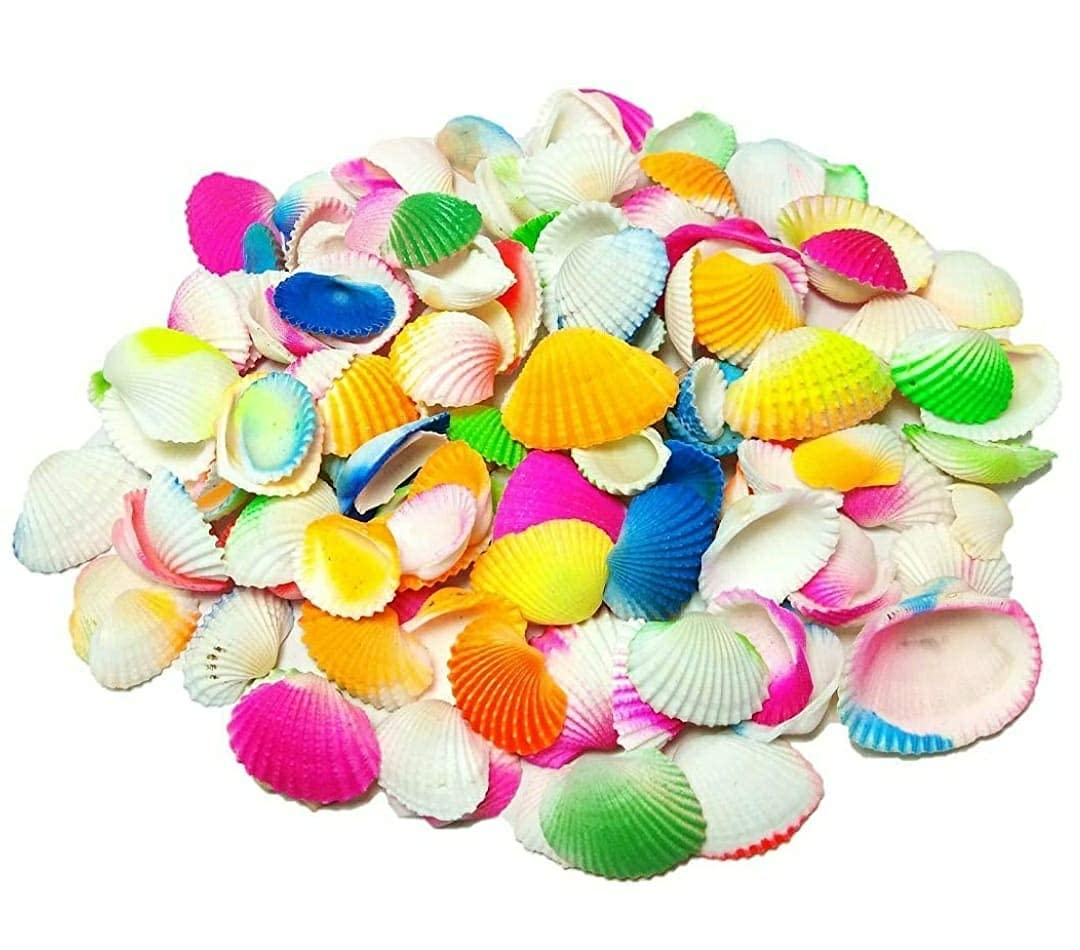 Amazing Multicolour Natural Sea Shells - Aquarium, Crafts & Home Décor ...
