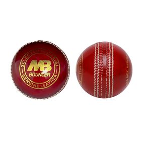 MB Malik Bouncer T20 Cricket Ball - 113g | Shop Today. Get it Tomorrow ...
