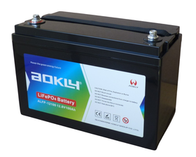Aokly 12.8V 100Ah Lithium Battery LiFePO4 1280Wh | Shop Today. Get it ...