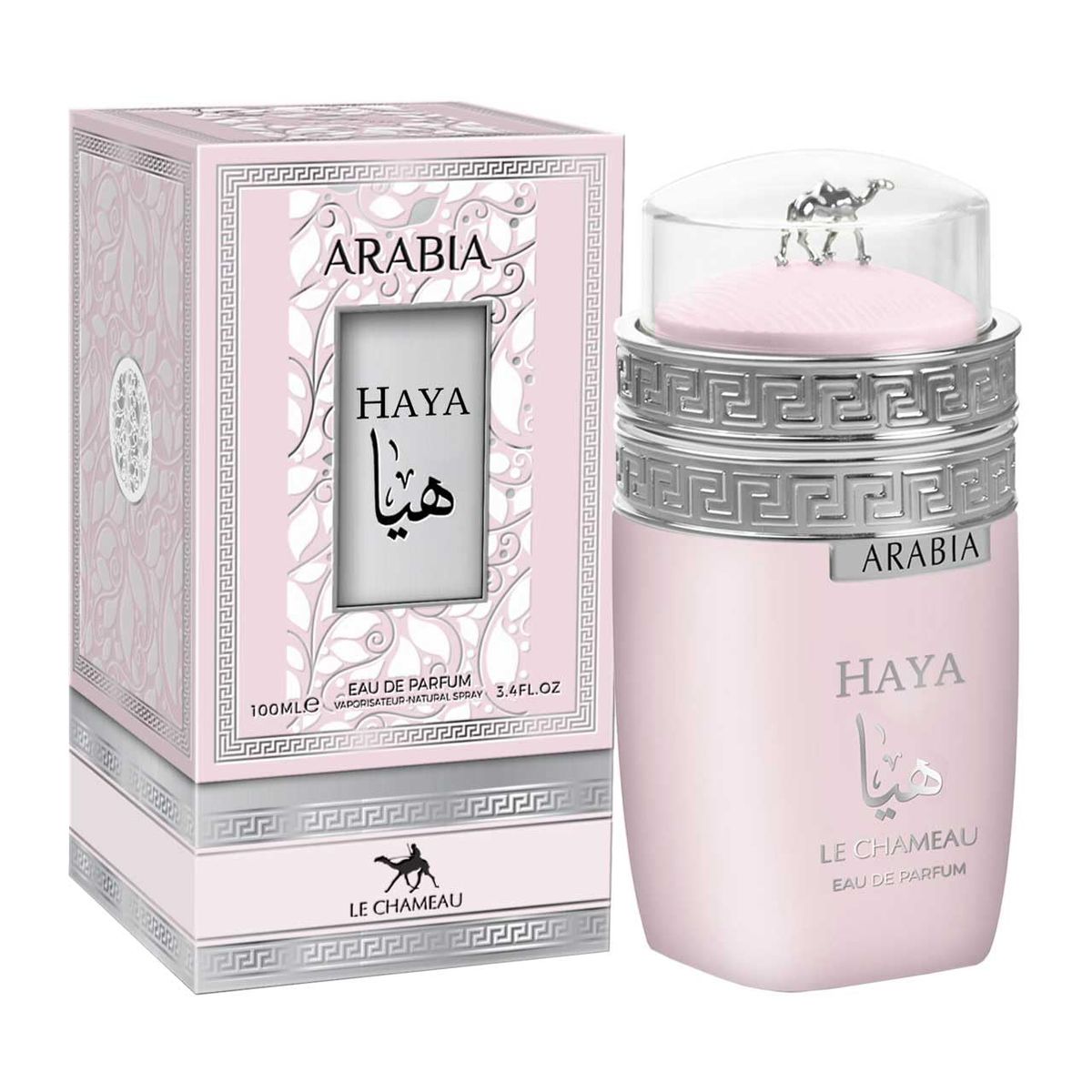 Arabia Haya 100ml Eau De Parfum By Le Chameau | Shop Today. Get it Tomorrow! | takealot.com