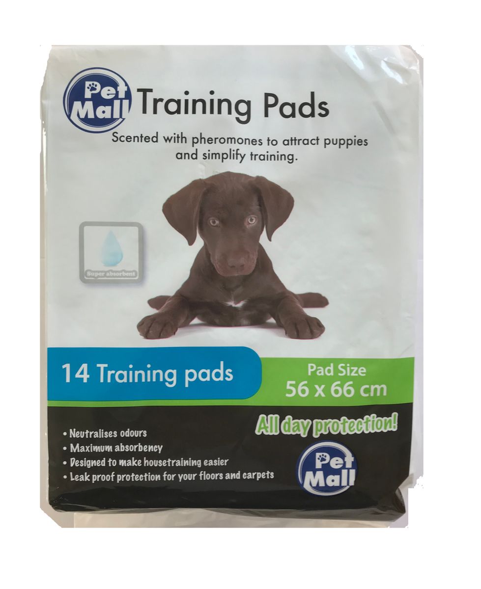 14 Training Pads | Shop Today. Get it Tomorrow! | takealot.com