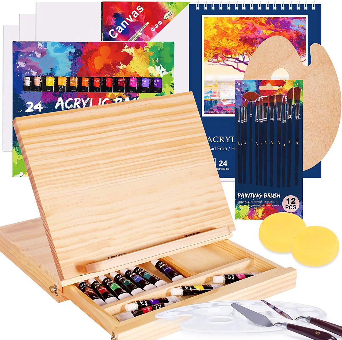 51 Piece Professional Acrylic Paint Kit | Shop Today. Get it Tomorrow ...