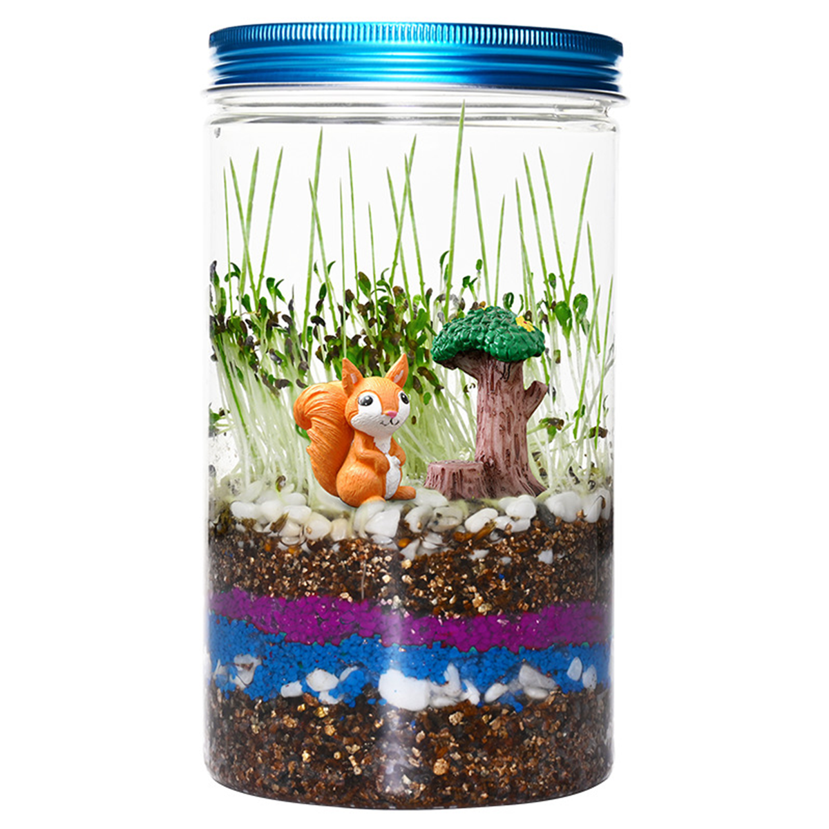 Terrarium Kit DIY Toy Science Children's Garden Kit Gift for Boys ...