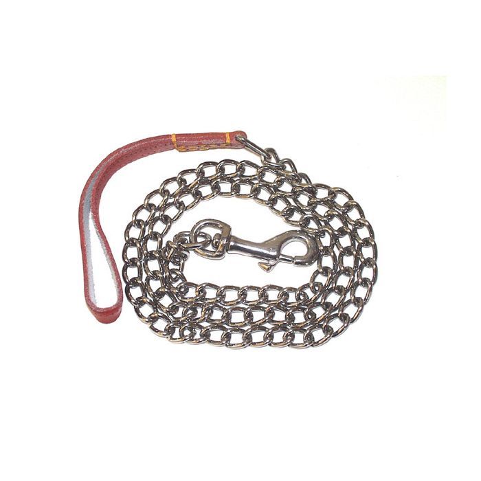 Complete - Chain Lead 4mm 1200mm - 2 Pack | Shop Today. Get it Tomorrow ...