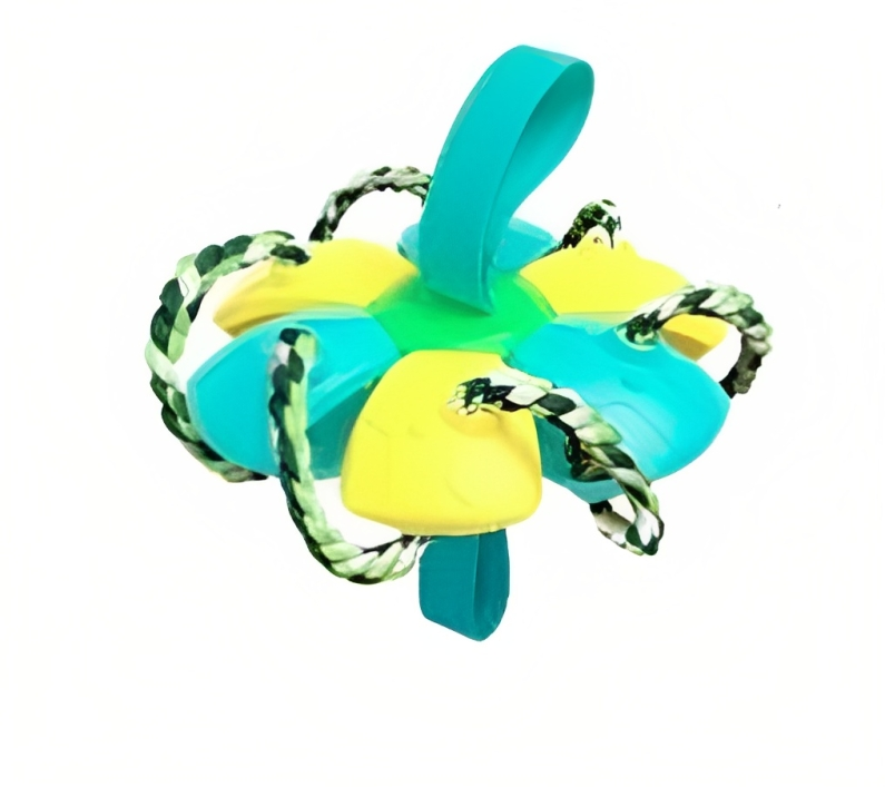 Dogs Flying Disk Ball Toy | Shop Today. Get it Tomorrow! | takealot.com