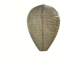 5pcs Bee Paper Lanterns | Shop Today. Get it Tomorrow! | takealot.com