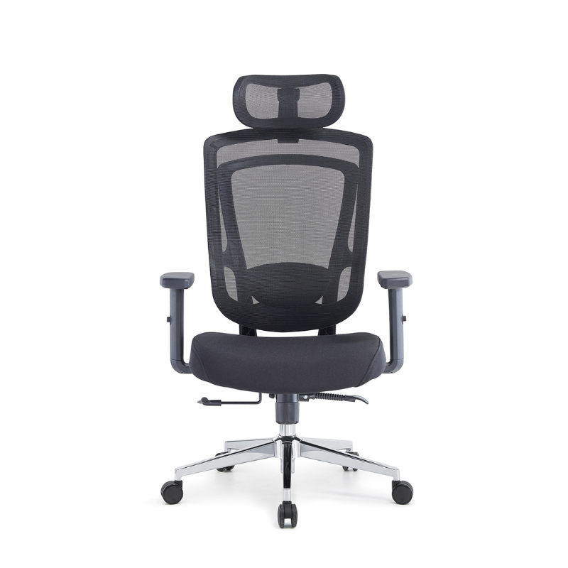 Sunny Ergonomic Mesh Office Chair | Shop Today. Get it Tomorrow ...