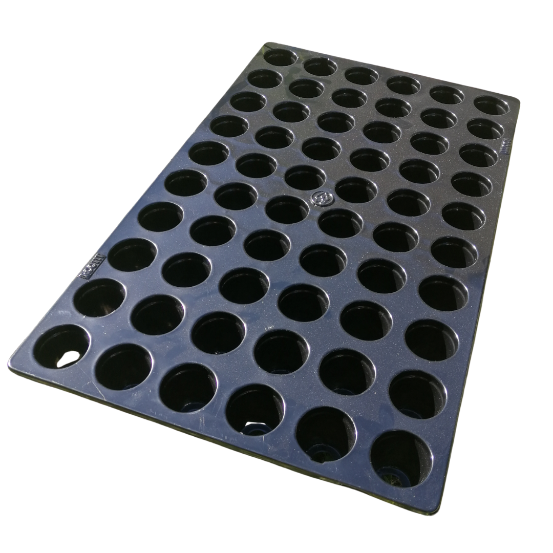 ROOT!T 60 Hole Cloning Tray | Shop Today. Get it Tomorrow! | takealot.com
