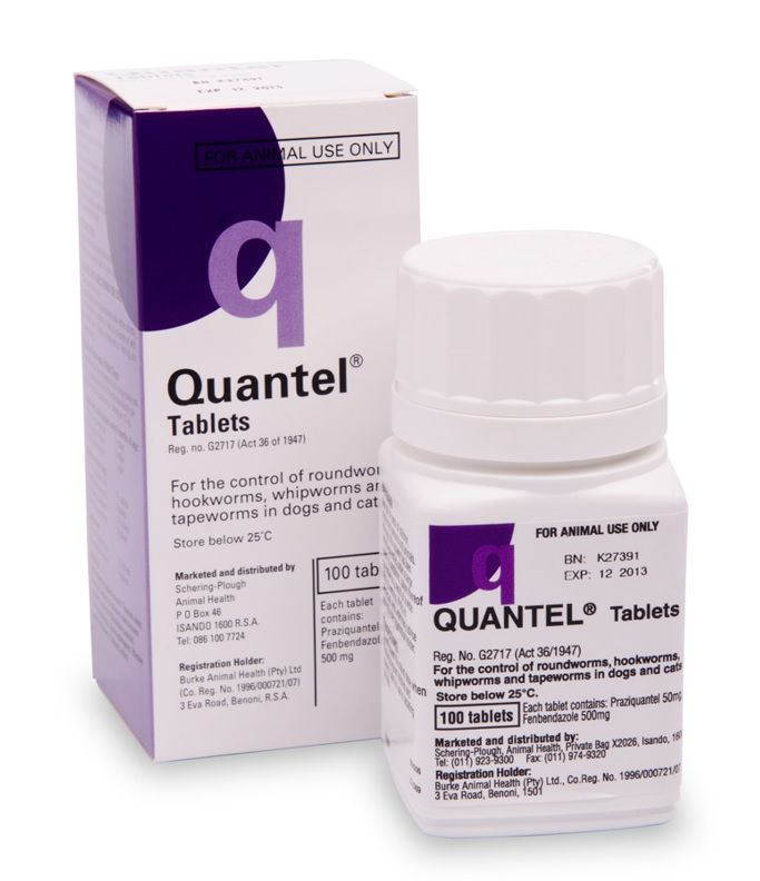 Quantel Deworming 100 tablets - For Cats & Dogs | Shop Today. Get it ...