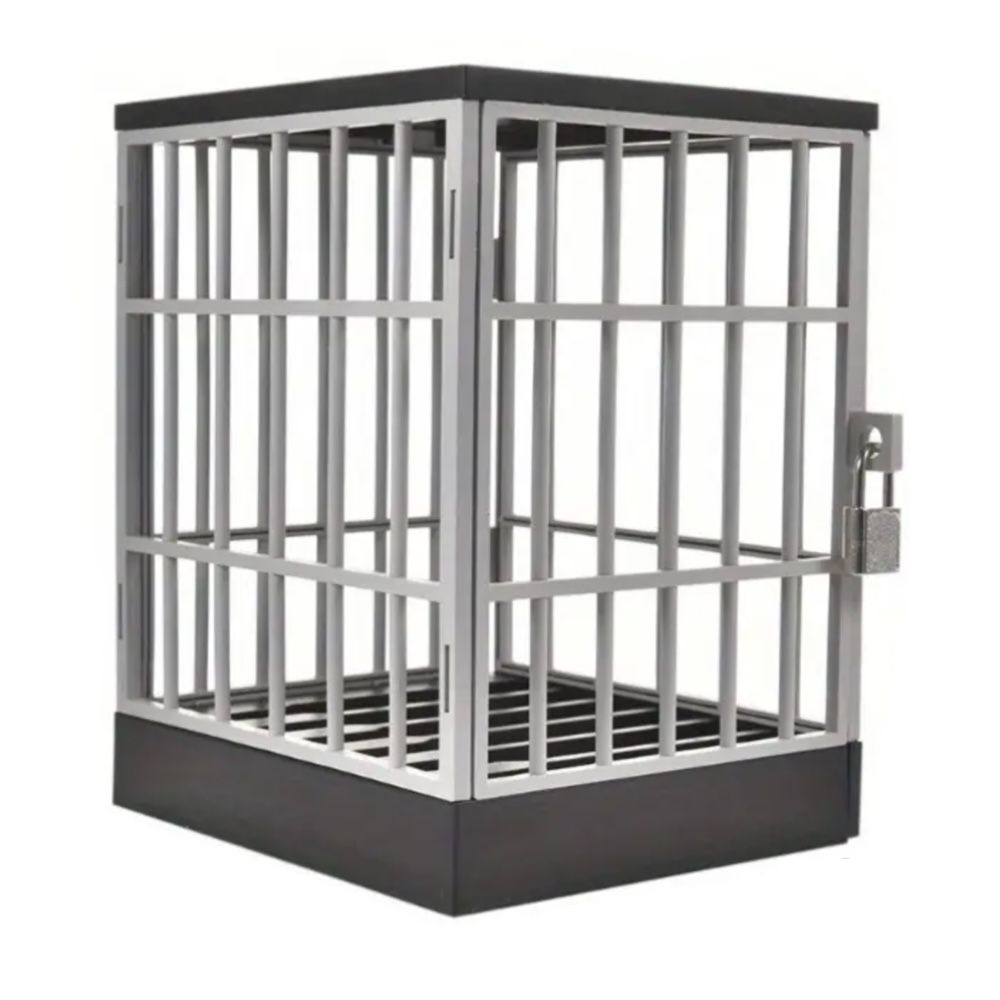 DIY Jail Cell Cage Phone Prison Storage Discipline Punishment Focus ...