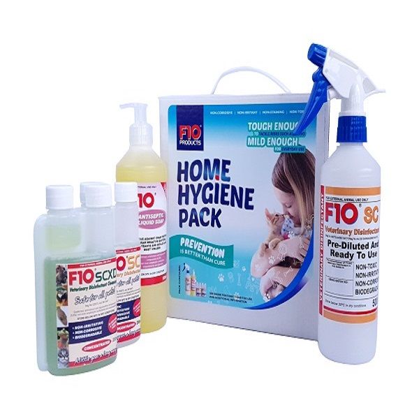 F10 Home Hygiene Pack | Shop Today. Get it Tomorrow! | takealot.com
