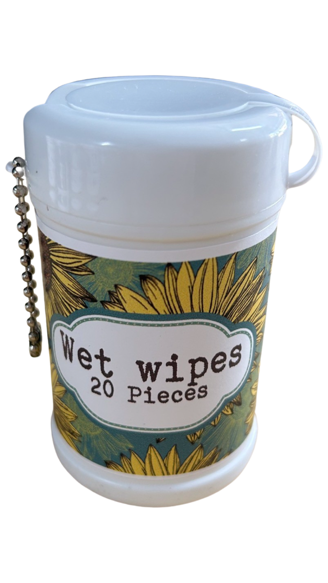 Handy Wet Wipes in Container | Shop Today. Get it Tomorrow! | takealot.com