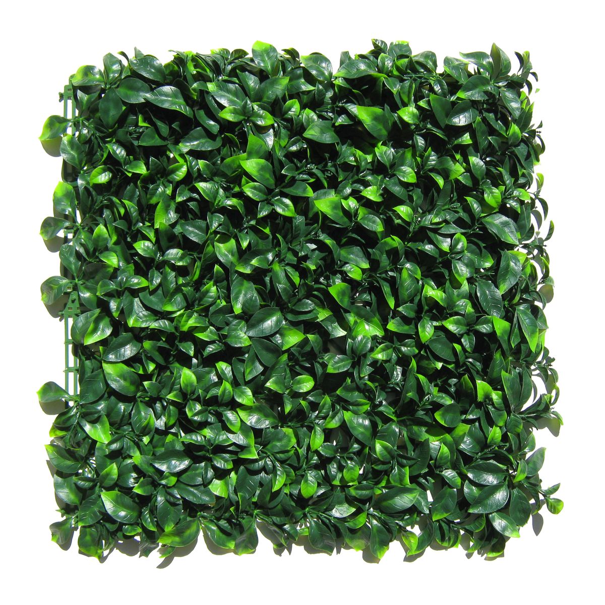Klingshield - Premium UV Treated Instant Green Wall Panels - Evergreen ...