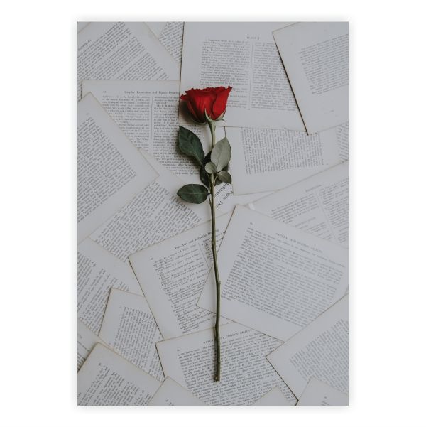 Single Rose On Newspaper A1 Poster Shop Today Get It Tomorrow