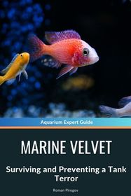Marine Velvet | Shop Today. Get it Tomorrow! | takealot.com