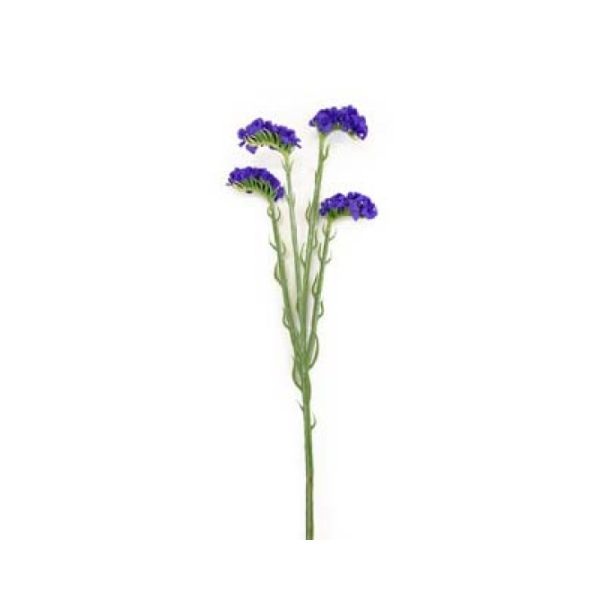 Toolhome Blossoms - Statice - Purple - 68cm | Shop Today. Get it ...