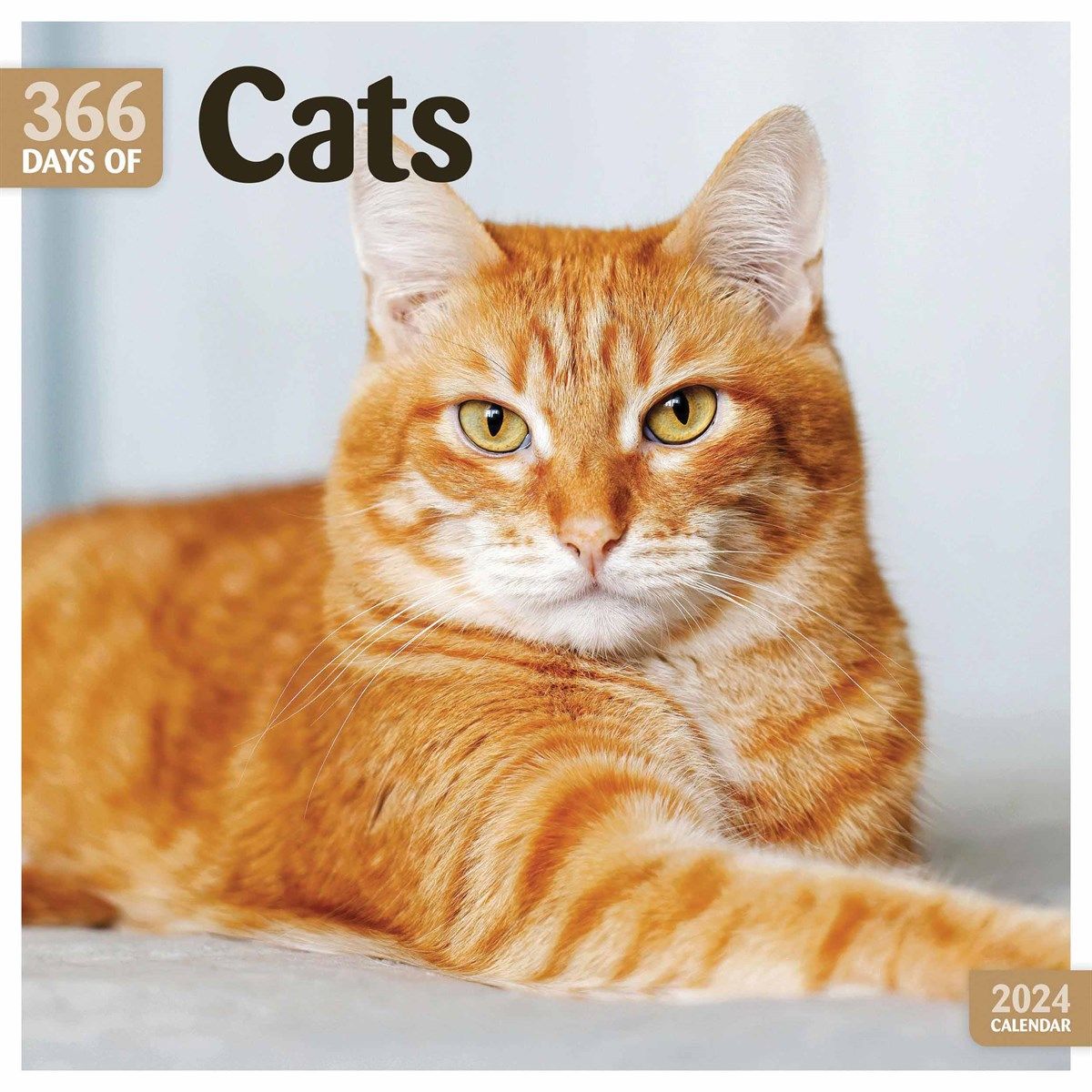 366 Days of Cats - Wall Calendar 2024 | Shop Today. Get it Tomorrow ...