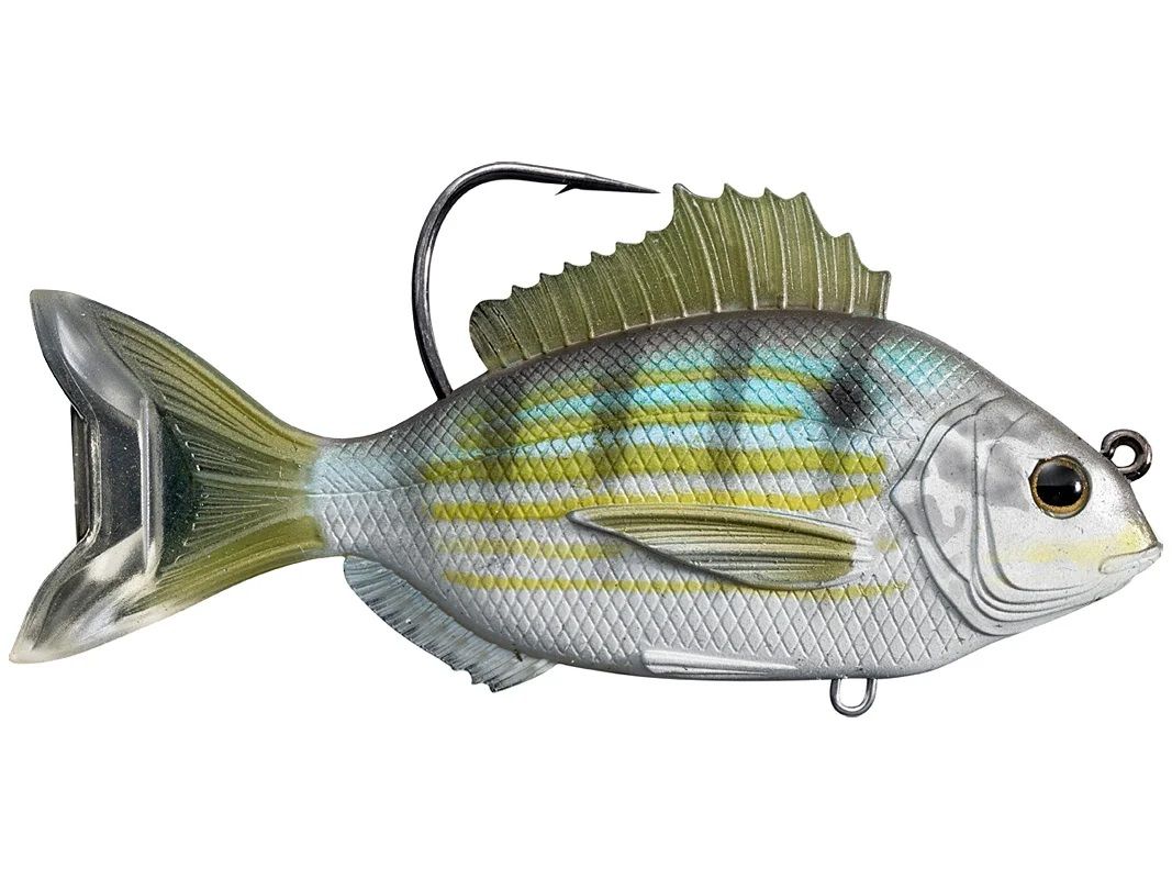 Live Target - Pinfish Swimbait - 1oz | Shop Today. Get it Tomorrow ...