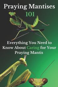 Praying Mantises 101: Everything You Need to Know About Caring for Your ...