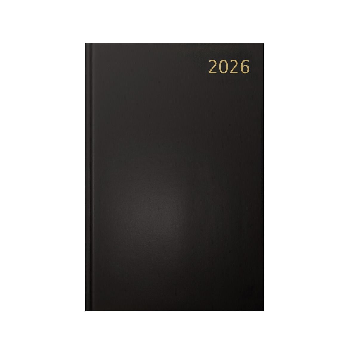 Treeline A4 2026 Page-A-Day Diary Journal Planner | Shop Today. Get it ...