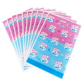 Gender Reveal - Girl or Boy - Loot Party Packs - Pack of 10 | Shop ...