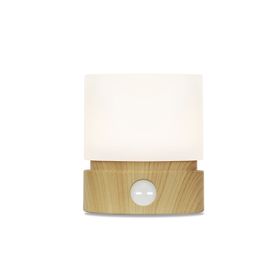 Rechargeable Night Lamp Dimmable with Rotatable Shutdown Timer | Shop ...