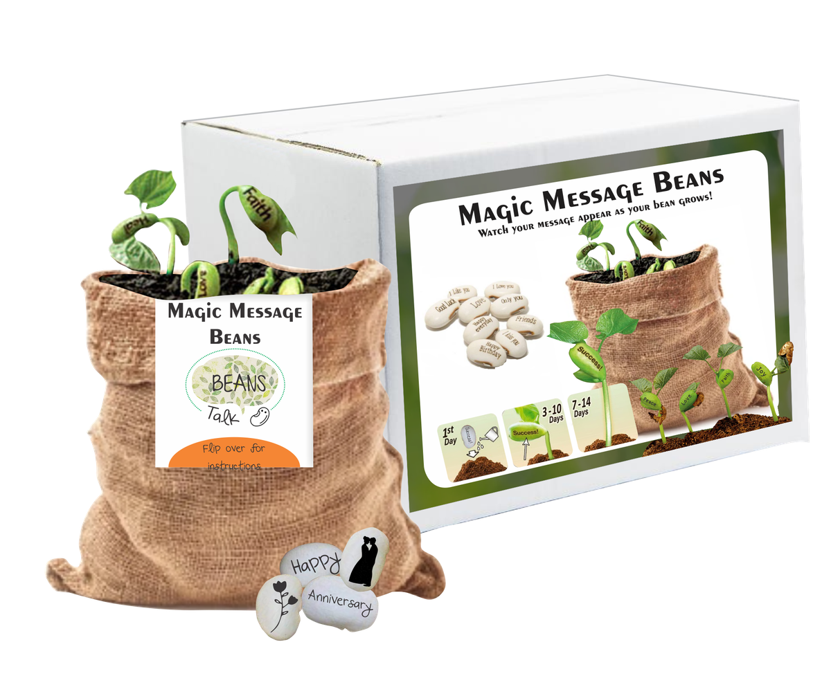 Magic Message Bean - Happy Anniversary | Shop Today. Get it Tomorrow ...