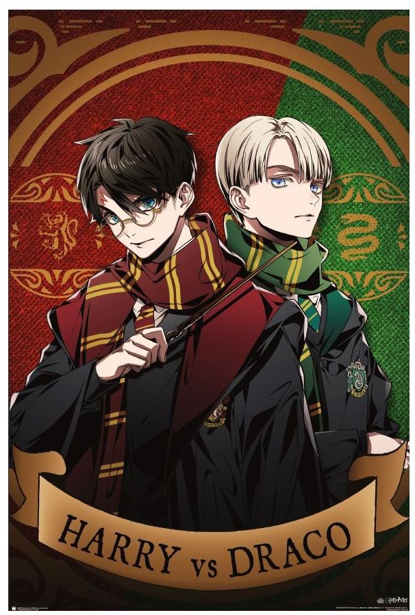 Harry Potter - Harry V's Draco Poster | Shop Today. Get it Tomorrow ...