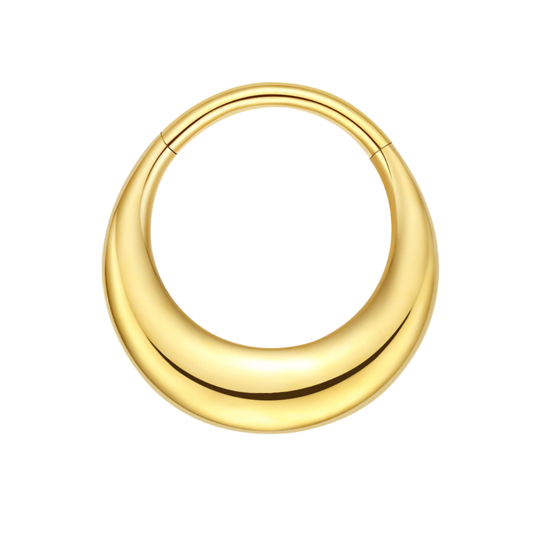 8mm Fat Circle Titanium Cartilage Clicker Ring | Shop Today. Get it Tomorrow! | takealot.com