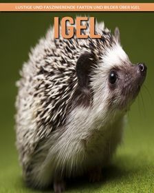 Igel - Lustige und faszinierende Fakten und Bilder ?ber Igel | Buy Online in South Africa ...