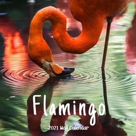 Flamingo 2021 Wall Calendar: Flamingo Calendar 2021, 18 Months | Buy ...