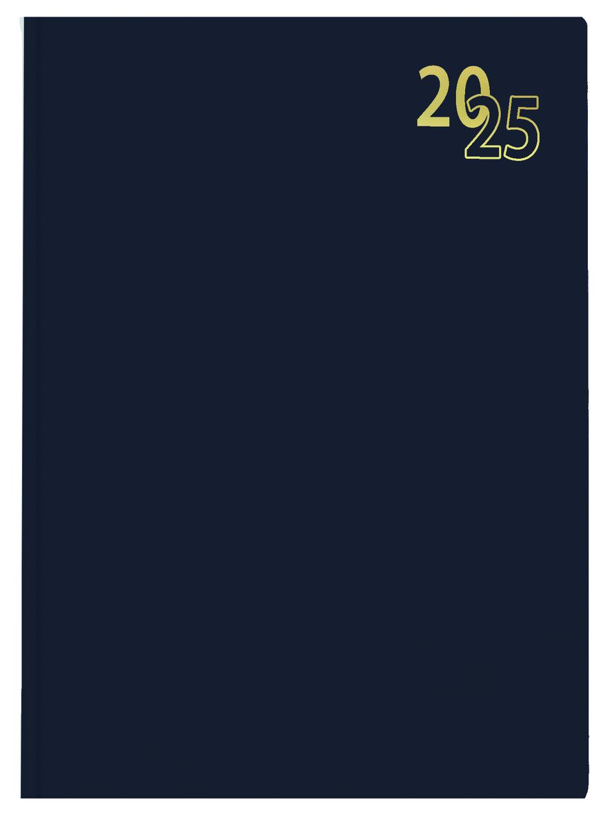 2025 A4 PAD Regency Diary (Blue) | Shop Today. Get it Tomorrow ...