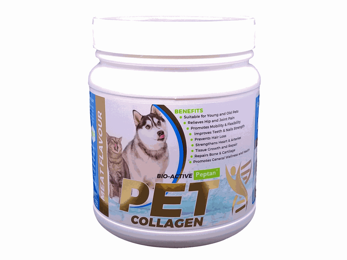 Pet Collagen Powder for Domestic Animals - 450g | Shop Today. Get it Tomorrow! | takealot.com
