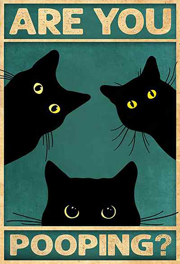 Funny Cat Poster: Are you Pooping? Archival Quality Bathroom Poster ...