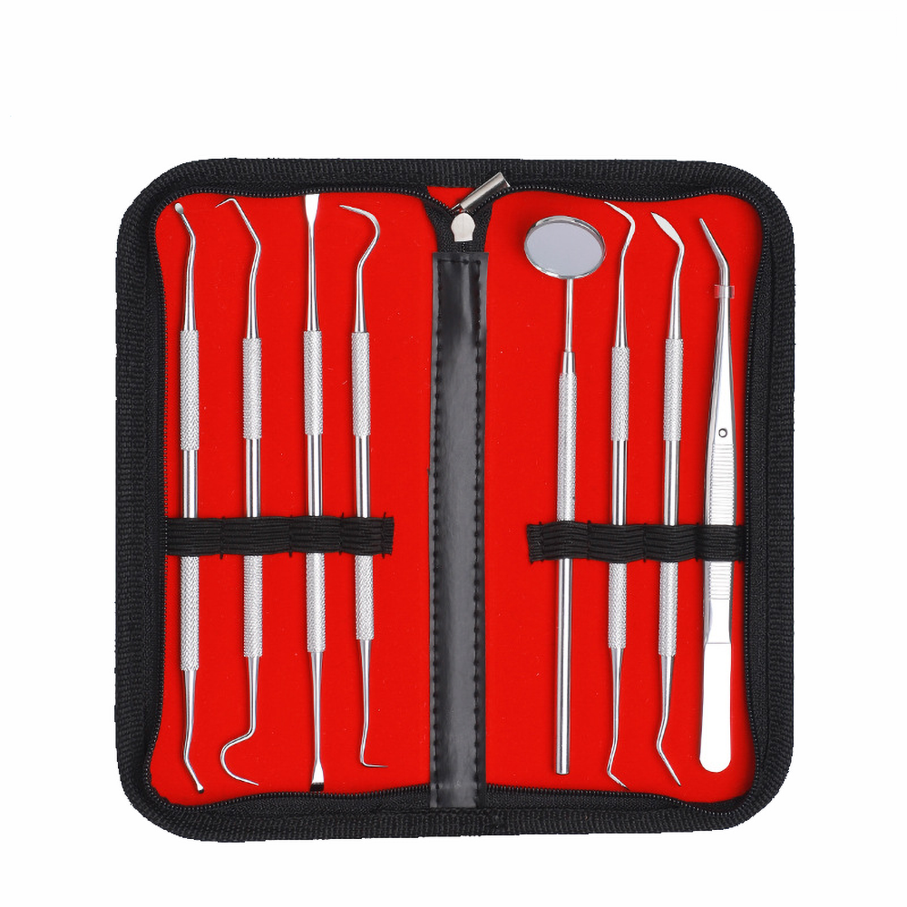 8Piece Oral Dental Care Kit For Teeth Cleaning/Tartar Removal | Shop ...