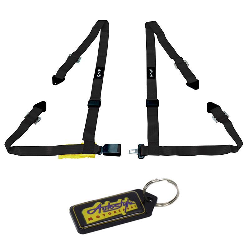 Seat Belt 4-Point Lap Safety Belt Harness and Gel Key Holder | Shop ...