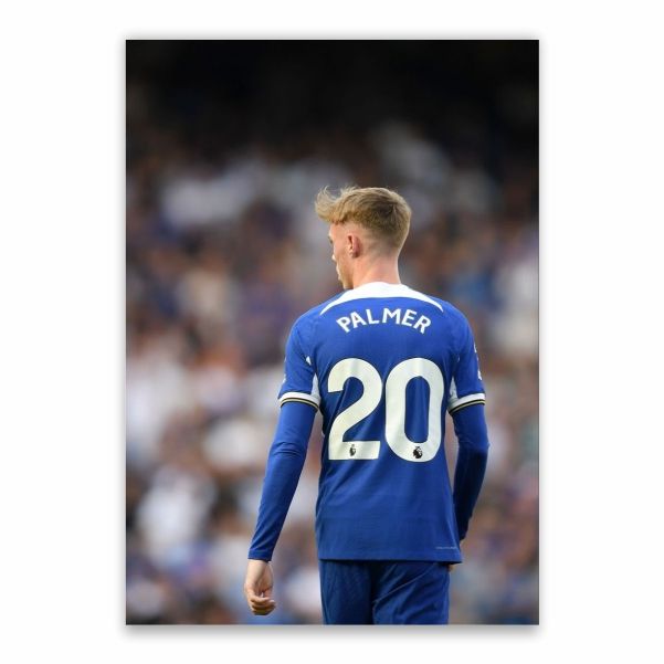 Palmer 20 Poster - A1 | Shop Today. Get it Tomorrow! | takealot.com