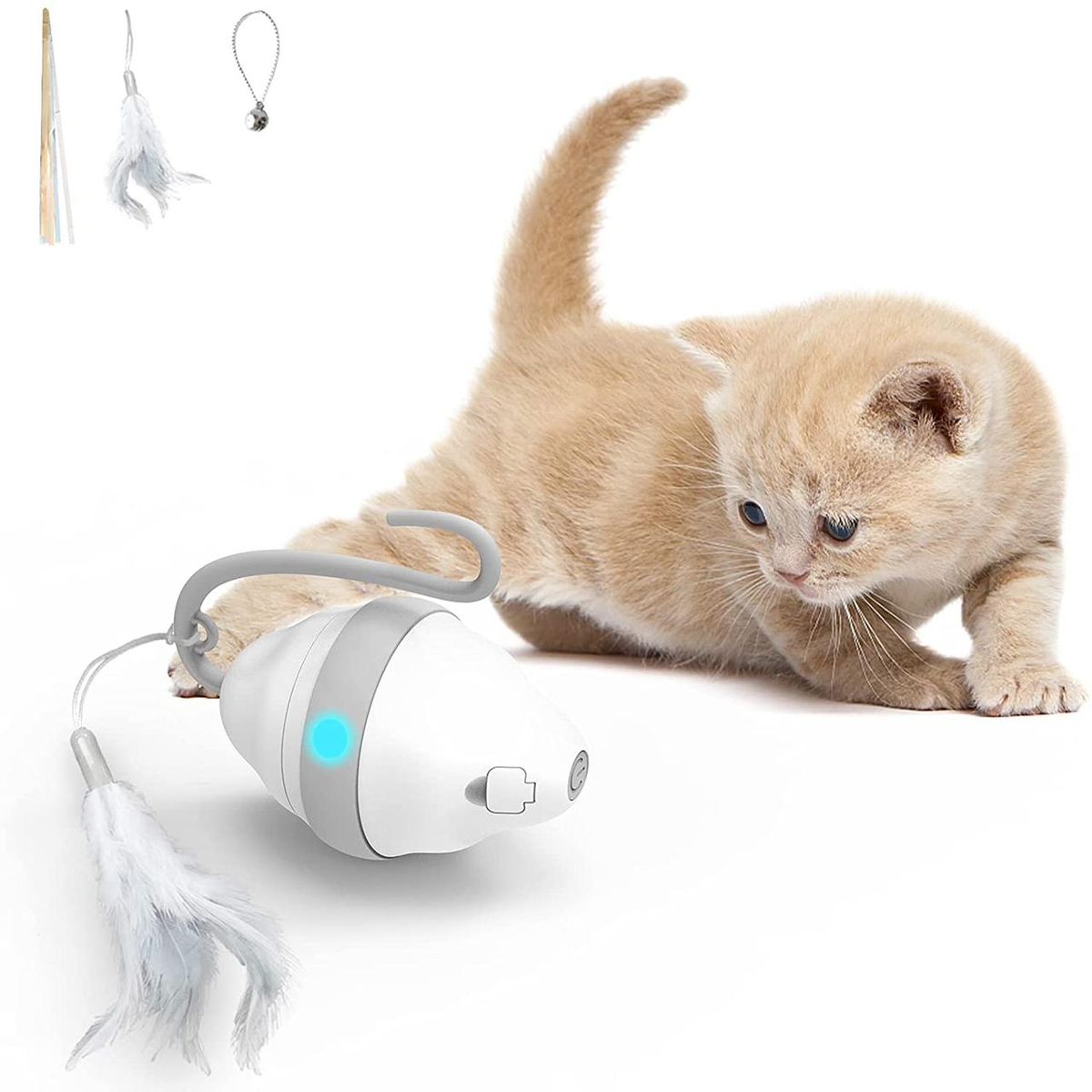 Magic Mouse Rolling Cat Toy | Shop Today. Get it Tomorrow! | takealot.com