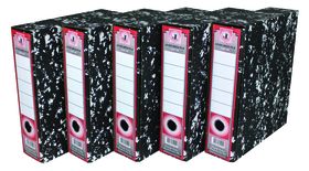 Files 10 Pack Files Lever Arch Files with Matching Corrugated Dust ...