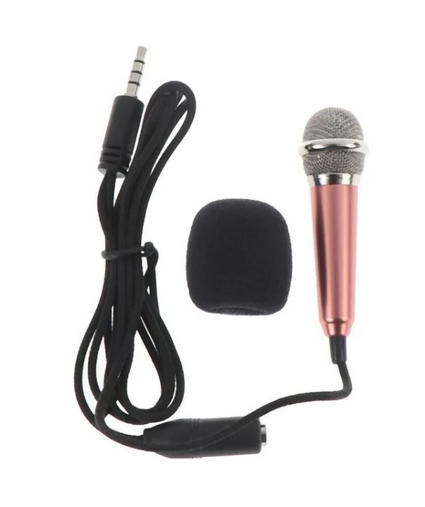 Portable Mini Stereo Mic Audio Microphone ASMR | Shop Today. Get it ...