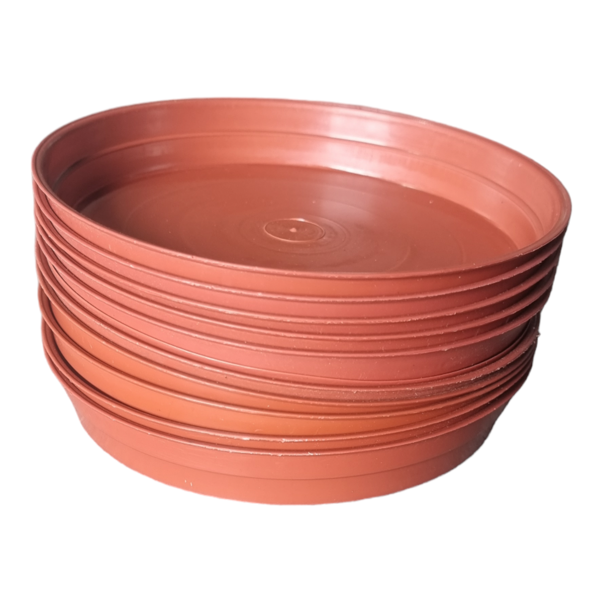 18-20cm Round Saucer - Set of 10 | Shop Today. Get it Tomorrow ...