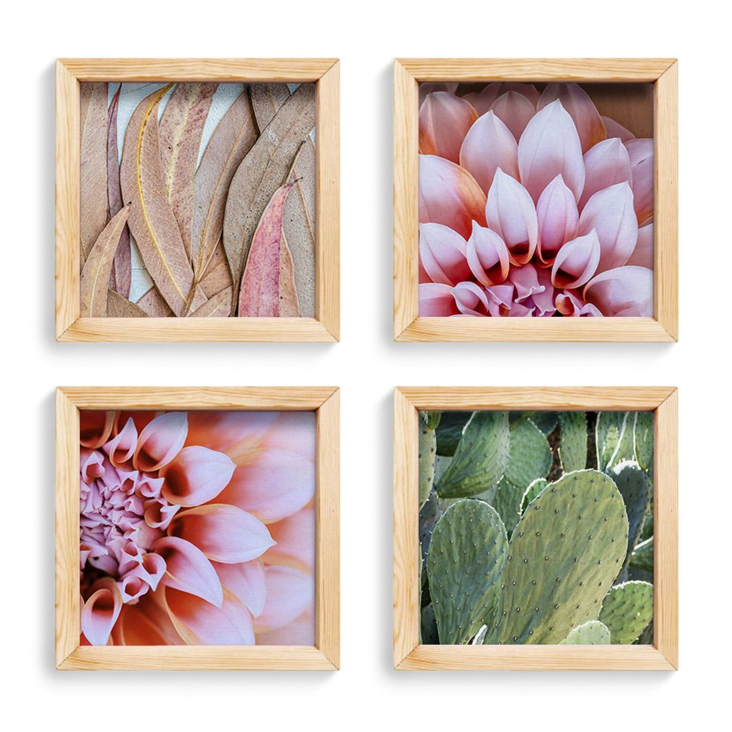 Cape Art Pine Boxed Canvas 4 Piece Collage Desert Flora | Shop Today ...