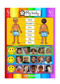 My body wall chart | Shop Today. Get it Tomorrow! | takealot.com