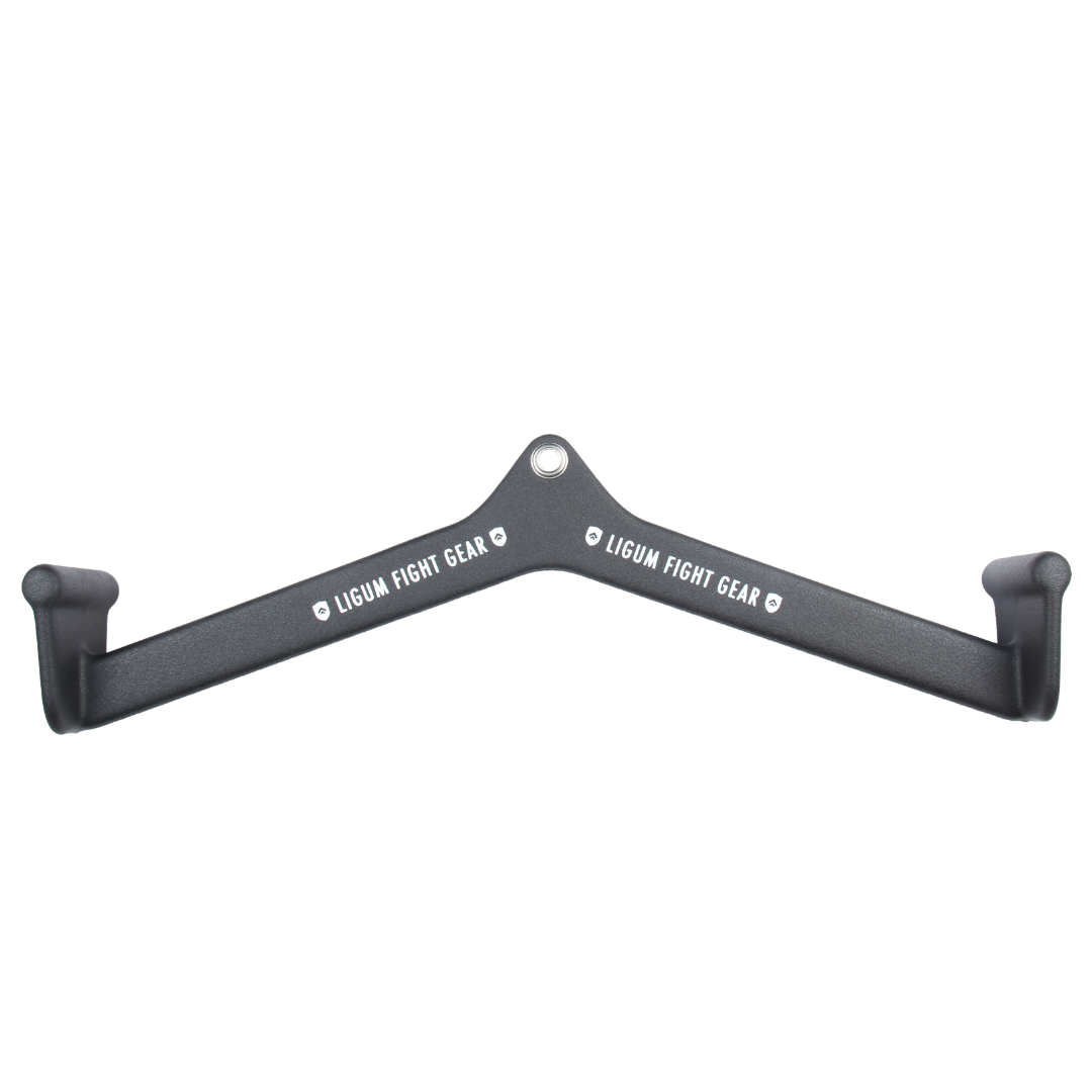 Linear Wide Lat & Arm Pull Down Handle - Lats & Biceps | Shop Today ...